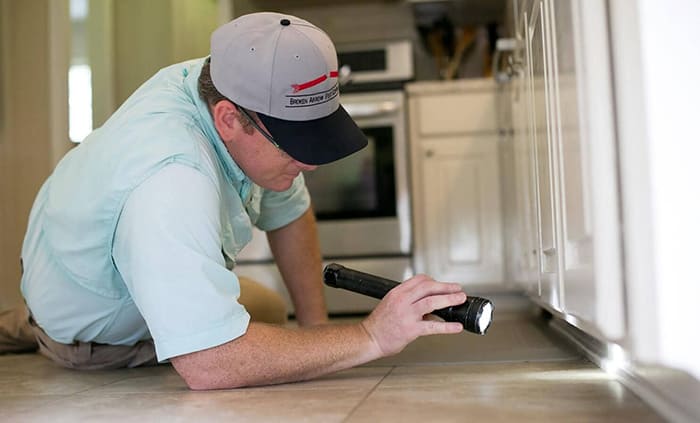 Understanding the Science Behind Spider Misting Systems - Broken Arrow ...