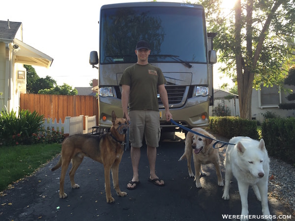 A Beginner’s Guide to RVing with Dogs - WE'RE THE RUSSOS