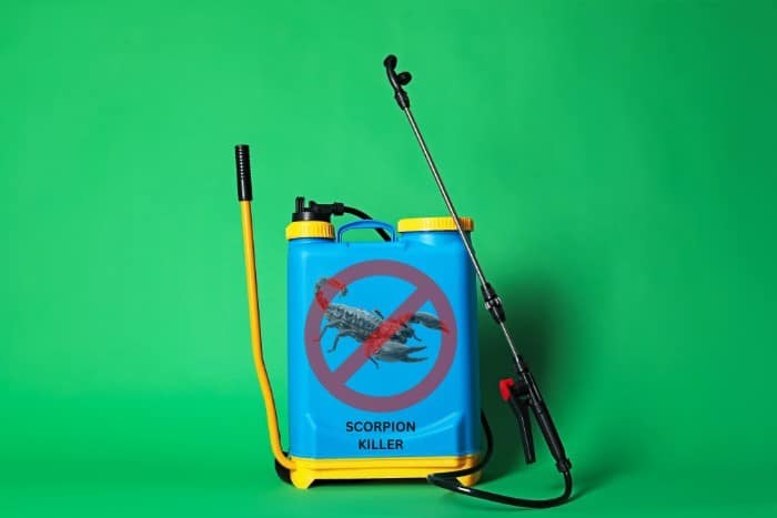 The Ultimate Guide to Scorpion Pest Control: How to Keep Scorpions at ...