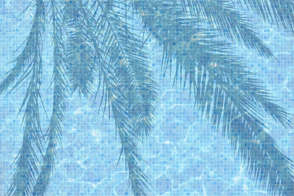 Comparing DIY Vs. Professional Pool Tile Cleaning | Swim Clear Pool Supply