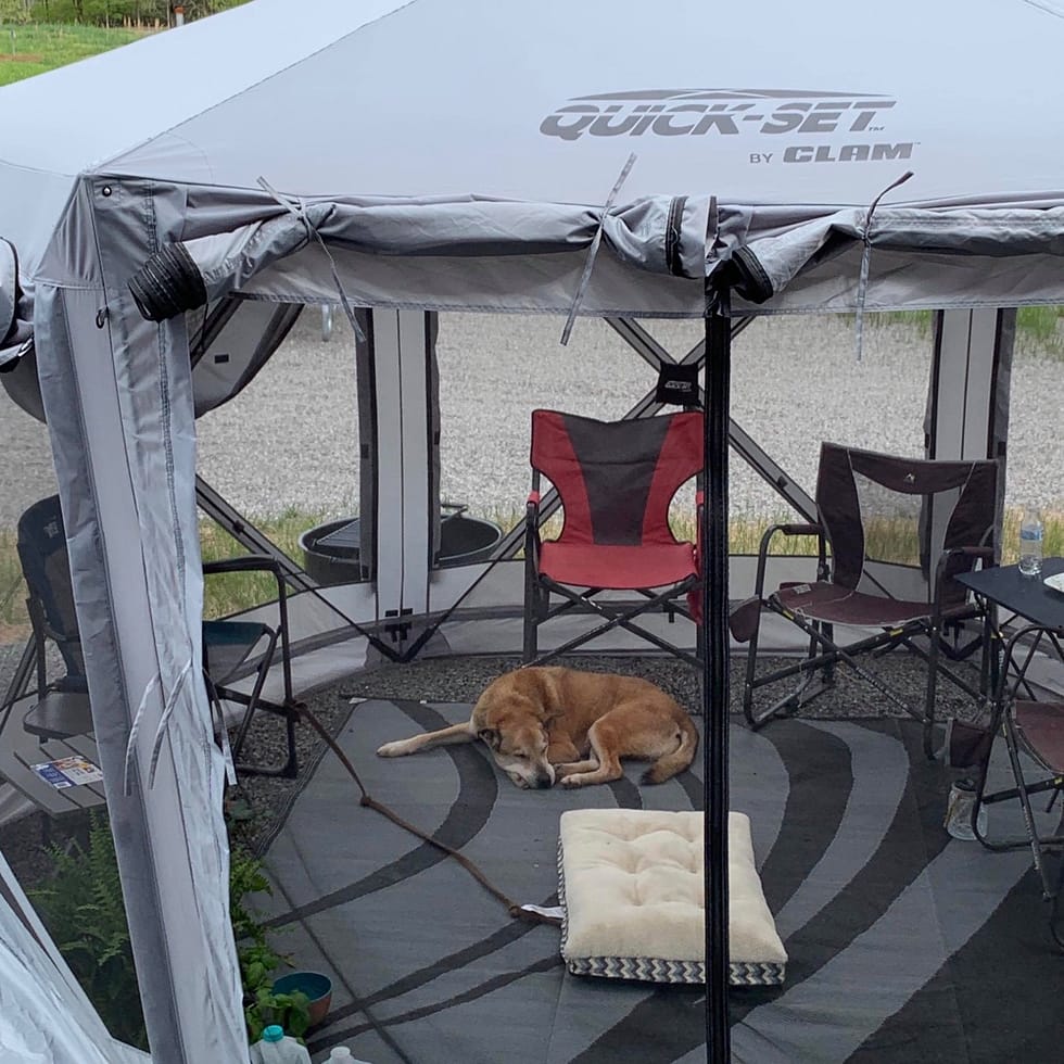 Clam Quick-Set Screen Tent: Why You Need One and Which to Buy ...