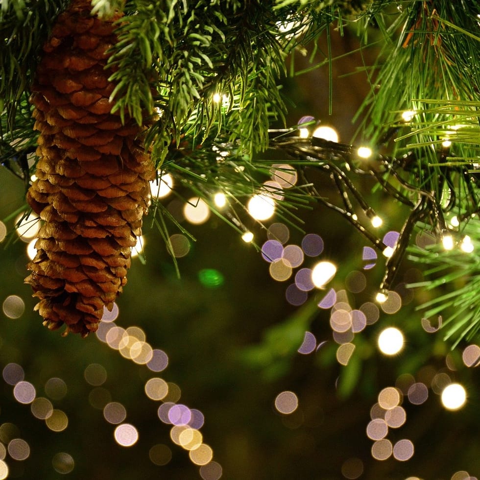 11 Fabulous RV Christmas Decoration Ideas | Fulltime Families
