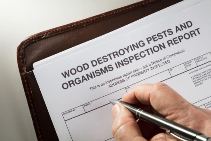 5 Things To Know About Termite Treatment - Broken Arrow Pest Control