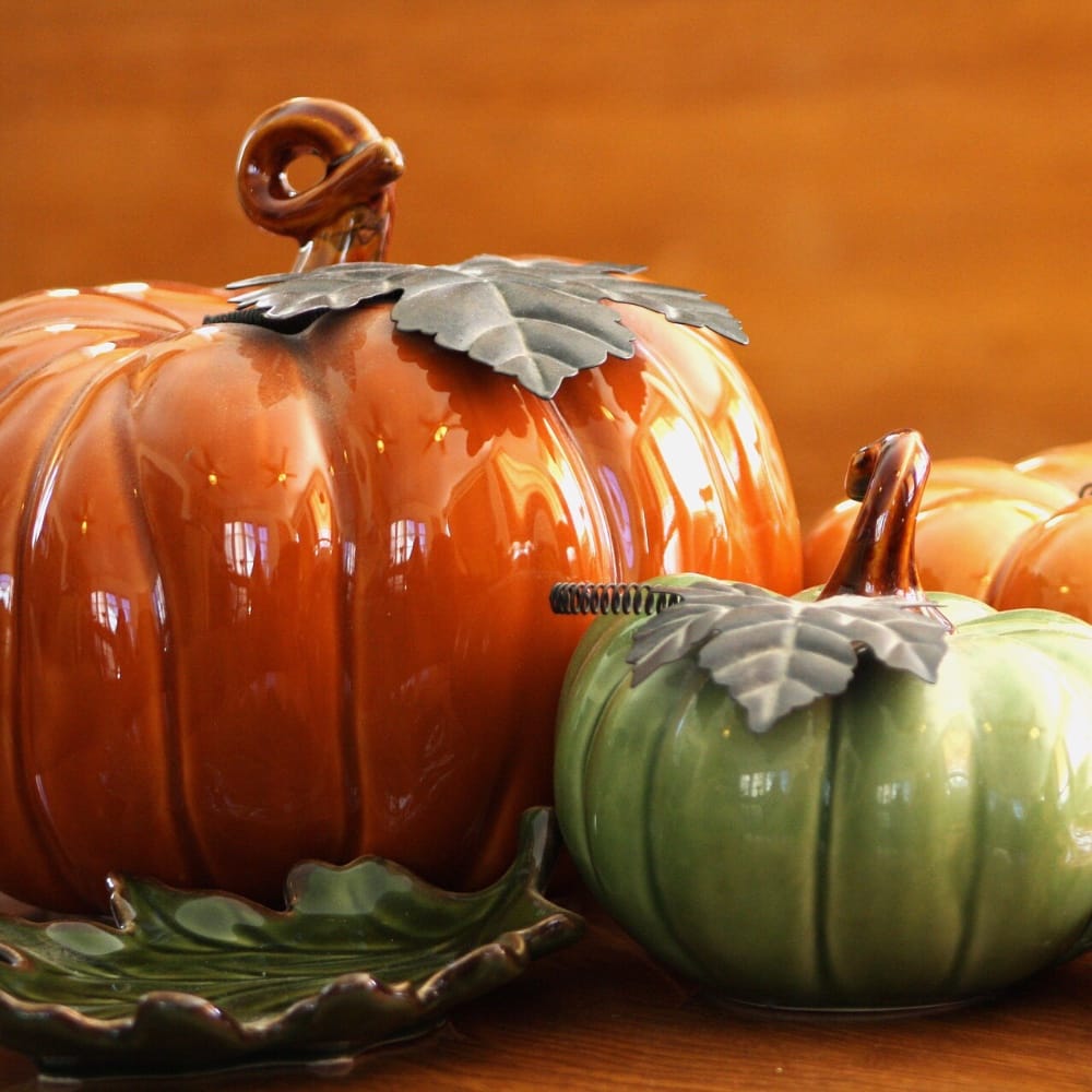 Top 5 Tips for Thanksgiving Camping in Your RV - Fulltime Families